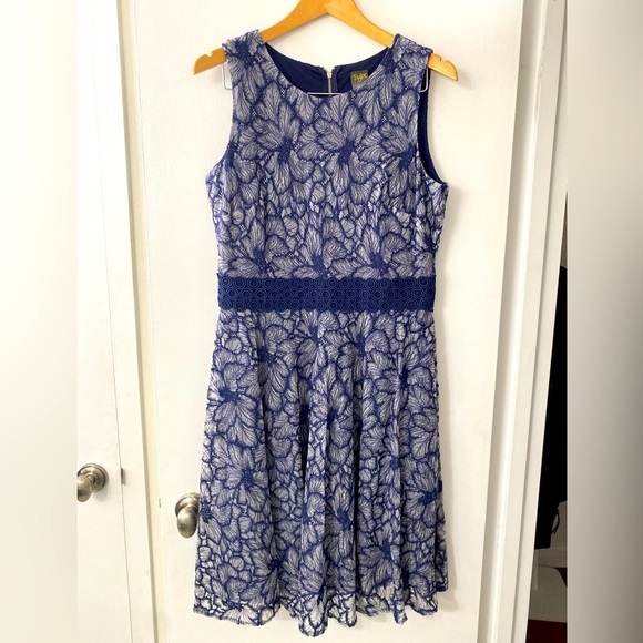 Taylor | Dresses | Taylor Sleeveless Blue Lace Embroidered Fit And ...